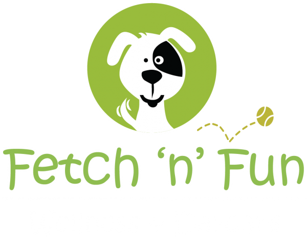 About Us - Fetch N Fun